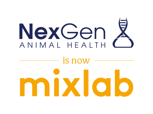 NexGen is now Mixlab